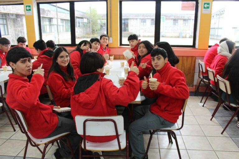 Liceo Bosque Nativo Puerto Montt